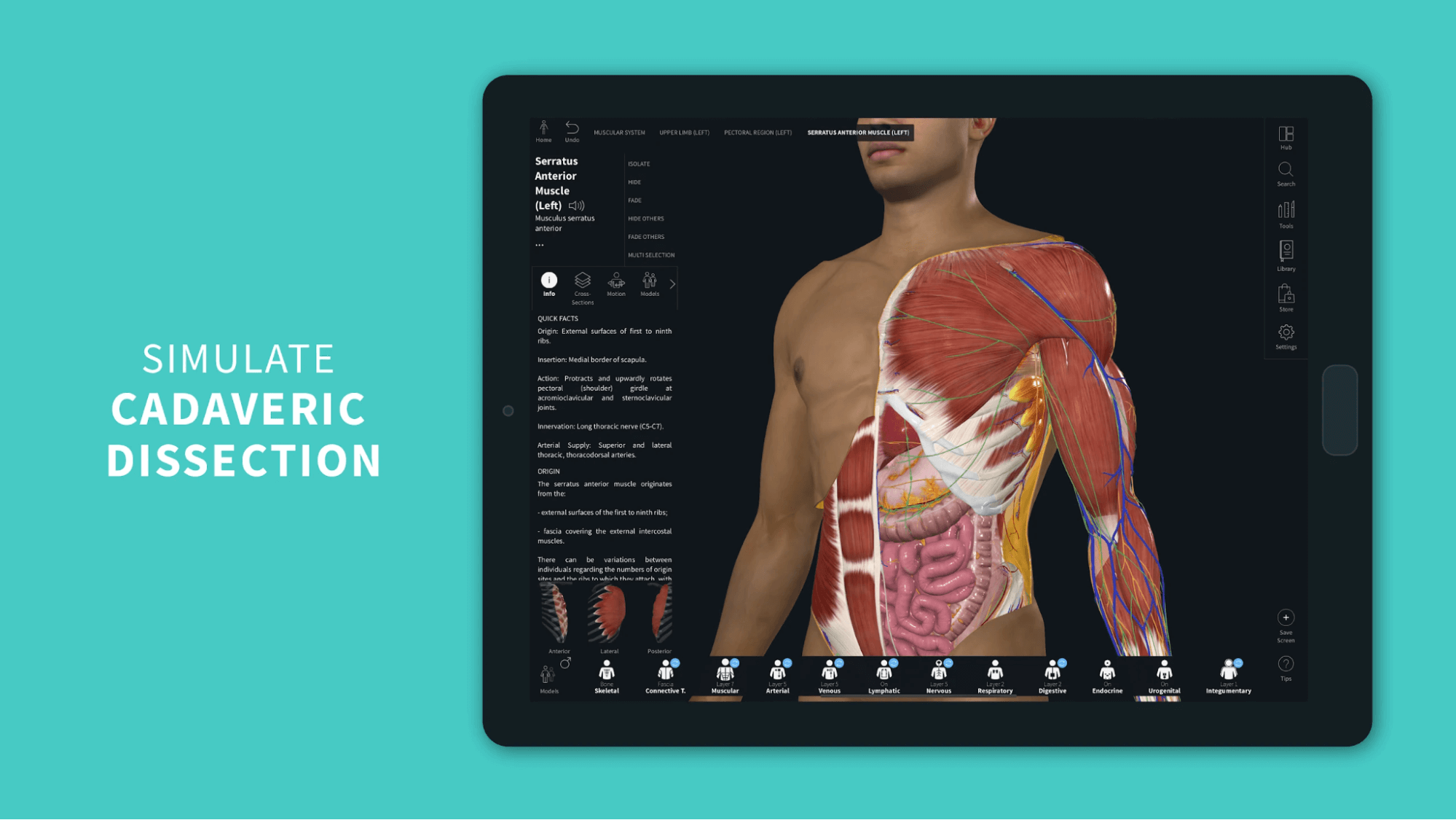 9 Best Anatomy Apps in 2024